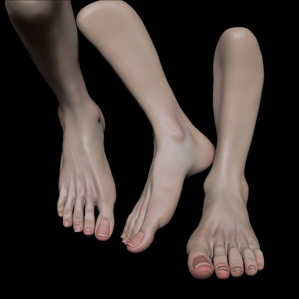 Female Pro Foot Sculpt 3D 모델 - TurboSquid 2052484