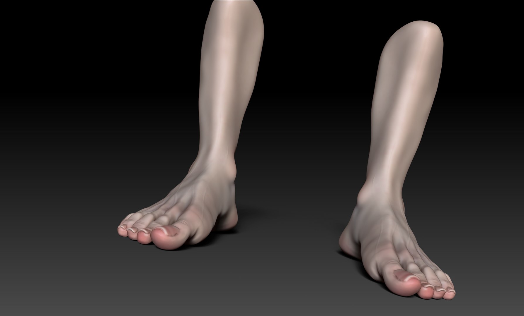 Female Pro Foot Sculpt Model - TurboSquid 2052484