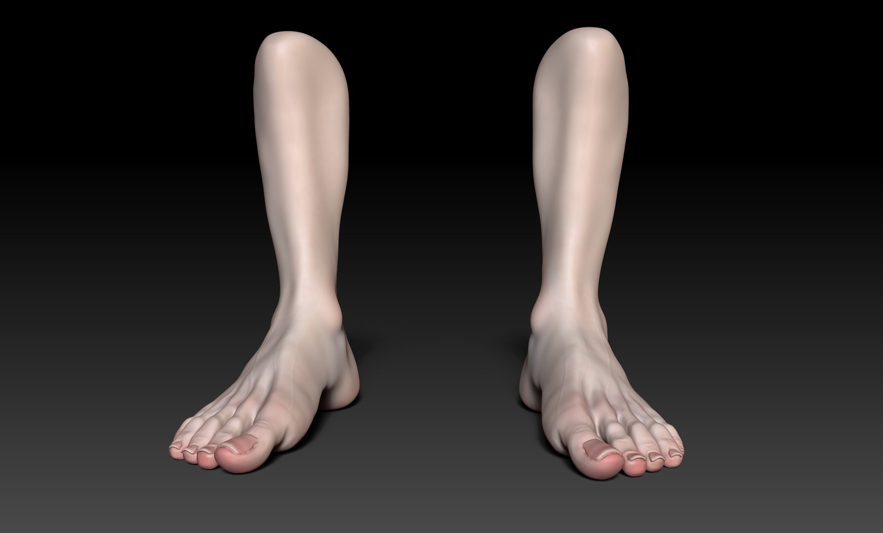 Female Pro Foot Sculpt Model - TurboSquid 2052484