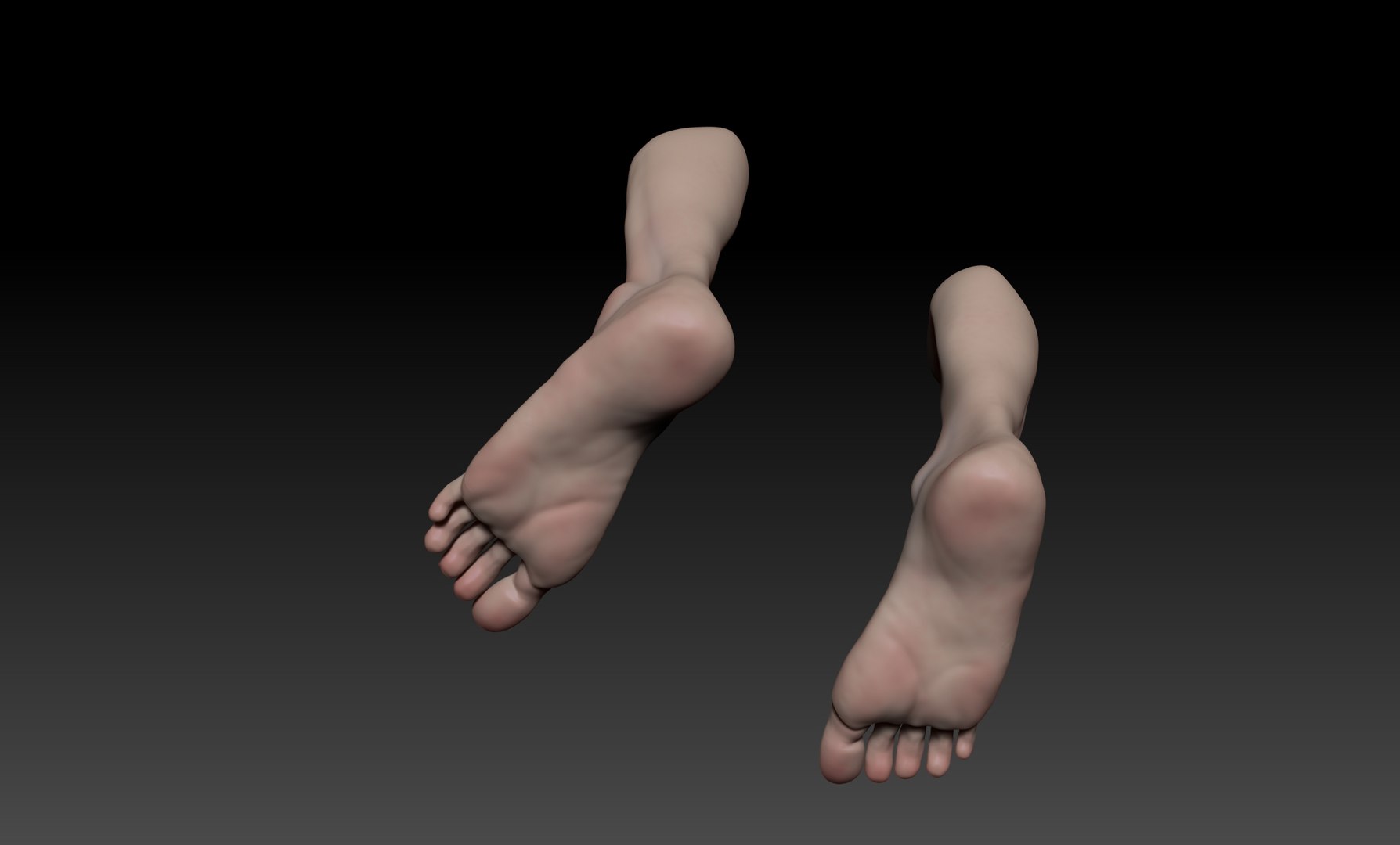 Female Pro Foot Sculpt Model - TurboSquid 2052484