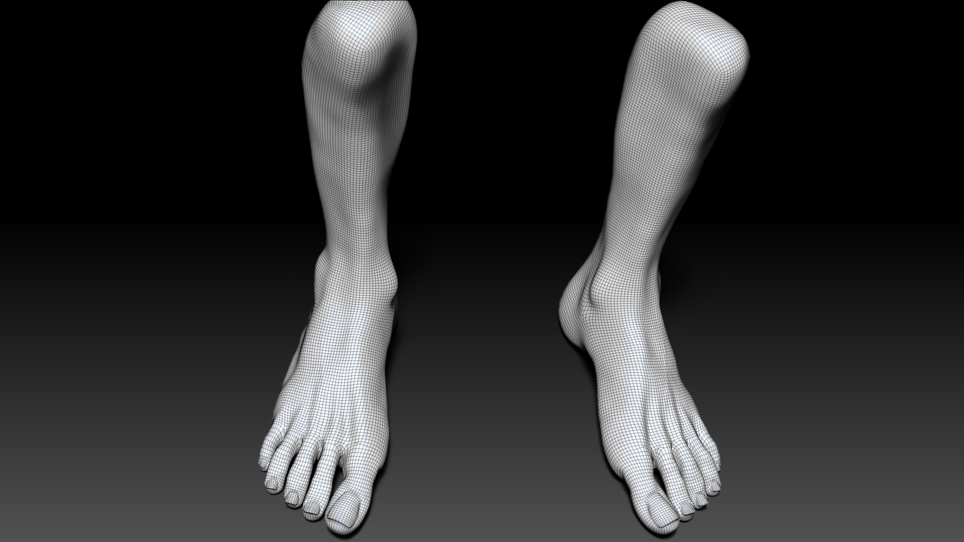 Female Pro Foot Sculpt Model - TurboSquid 2052484