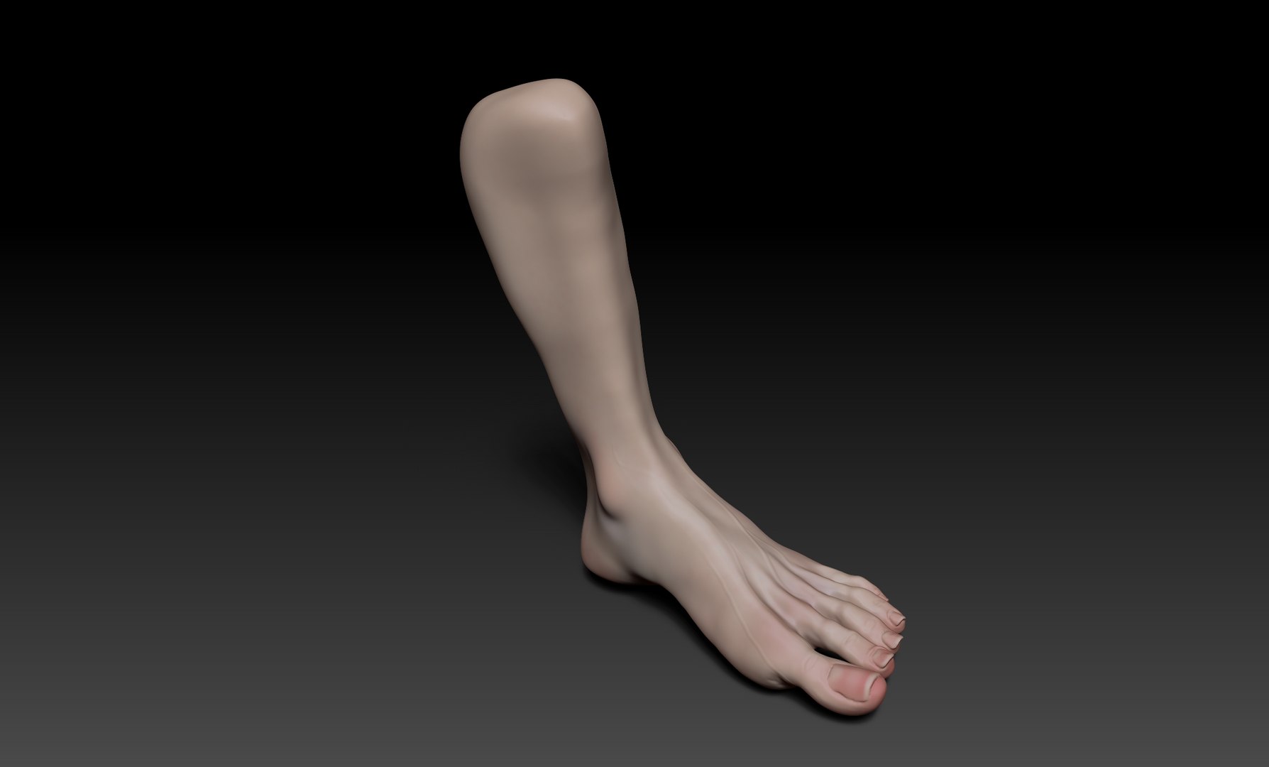 Female Pro Foot Sculpt Model - TurboSquid 2052484