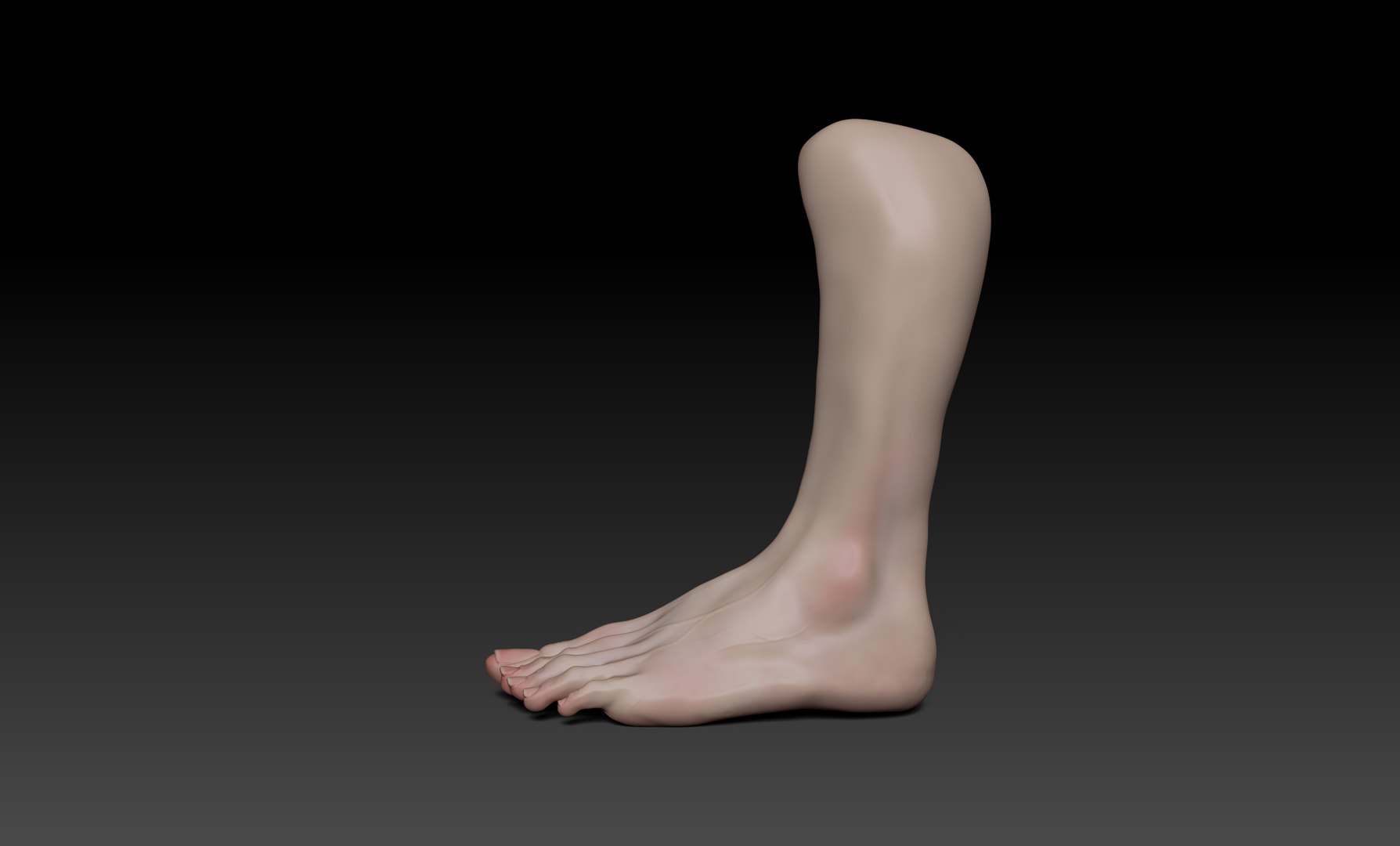 Female Pro Foot Sculpt Model - TurboSquid 2052484