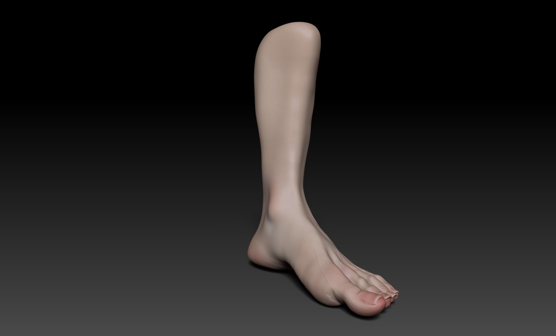 Female Pro Foot Sculpt Model - TurboSquid 2052484