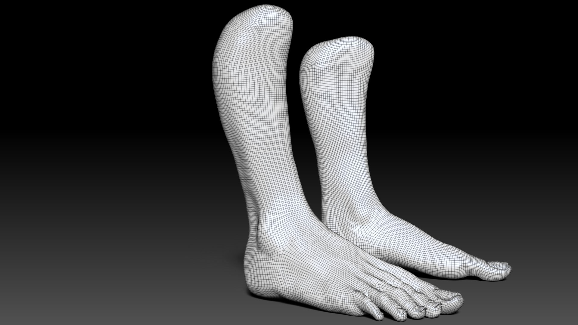Female Pro Foot Sculpt Model - TurboSquid 2052484