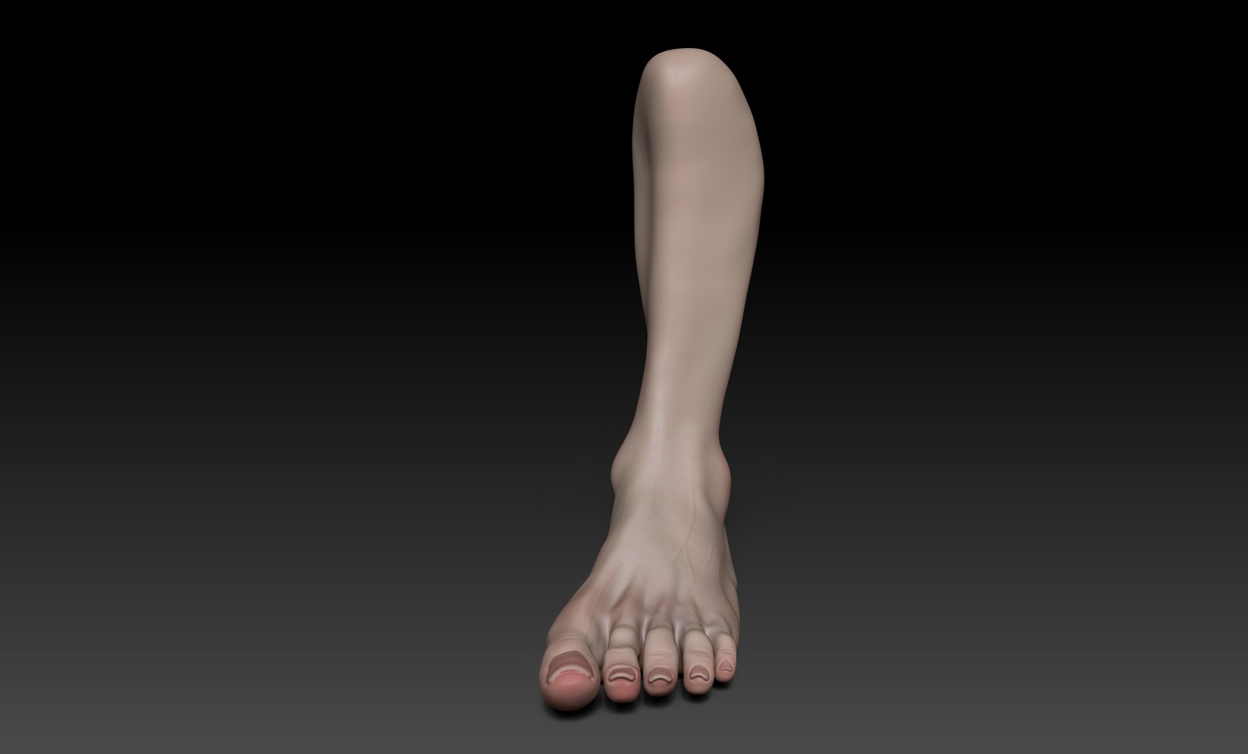 Female Pro Foot Sculpt Model - TurboSquid 2052484