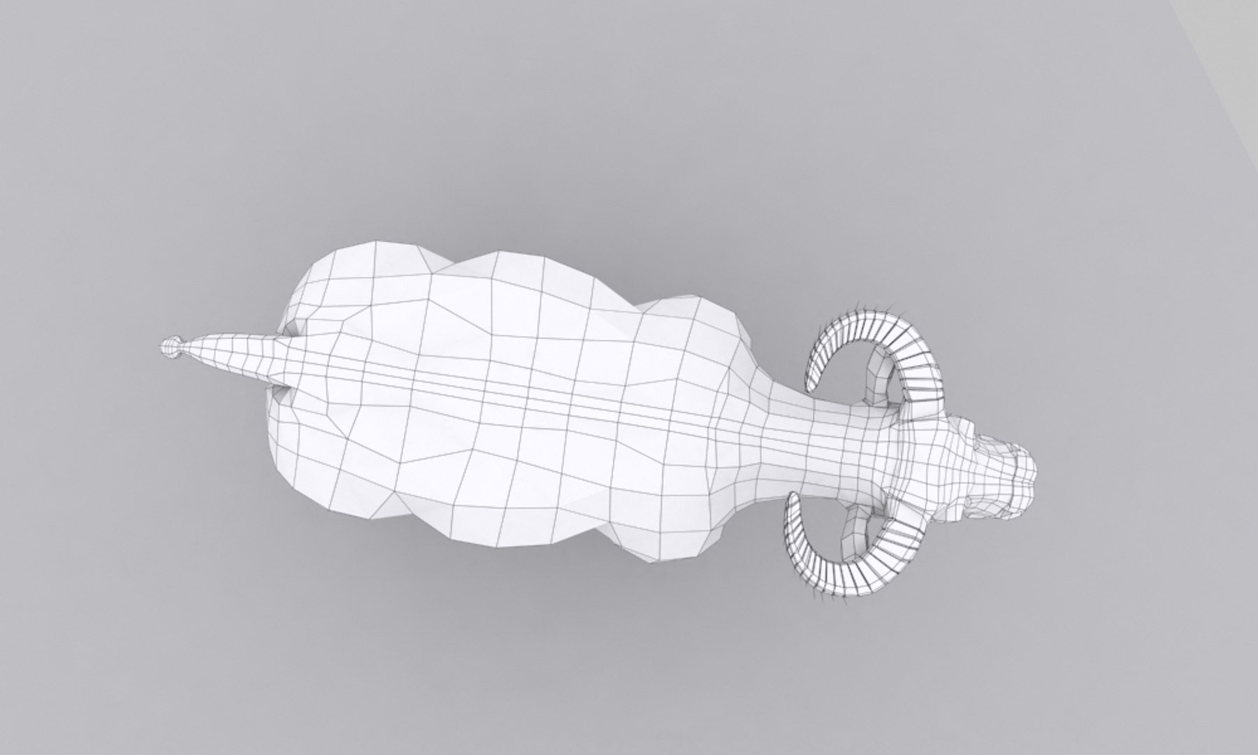 3d Model Of Buffalo Modeled Topology