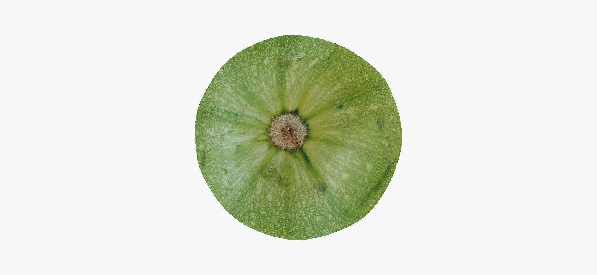 Zucchini cousa squash 04 3D model - TurboSquid 1665148