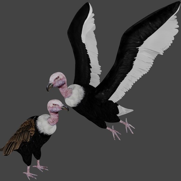 3d max vulture rigged