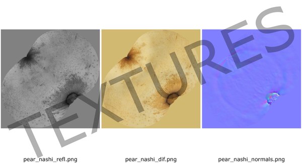 3D nashi pear model - TurboSquid 1164245