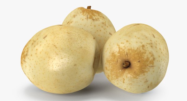 3D nashi pear model - TurboSquid 1164245