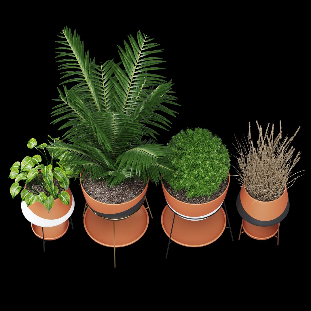 3D Funnel Pot - TurboSquid 1465448