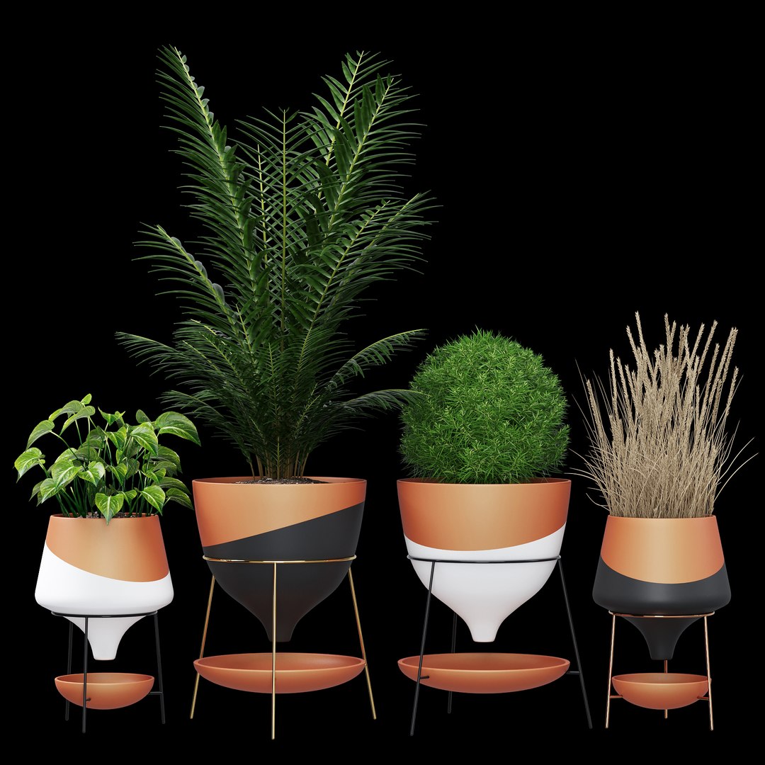 3D Funnel Pot - TurboSquid 1465448