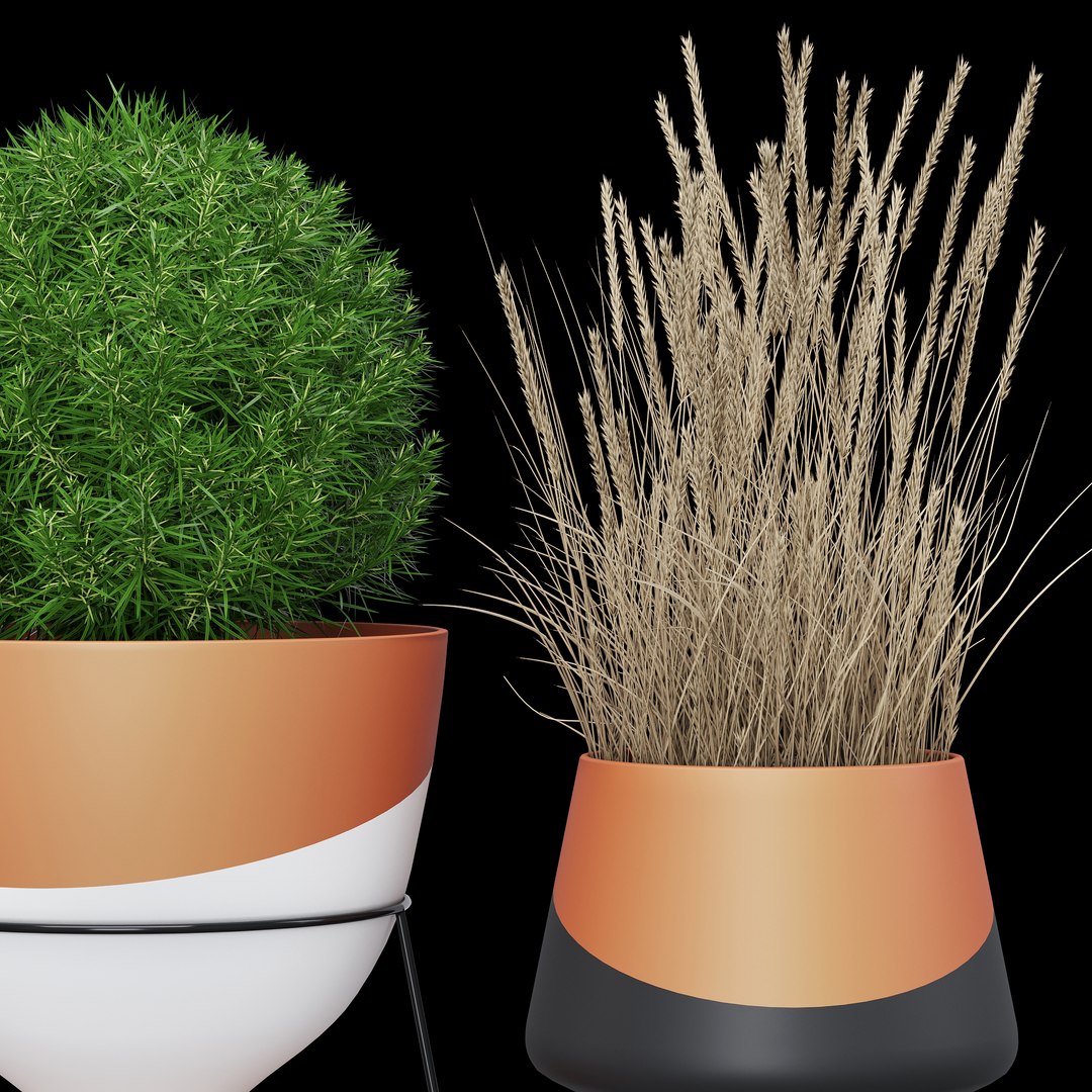 3D Funnel Pot - TurboSquid 1465448