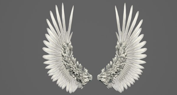 Wings 3d Game