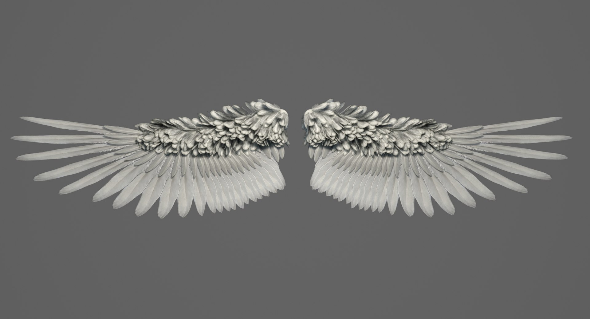 3D Model Realistic Angel Wings Rigged - TurboSquid 1555526