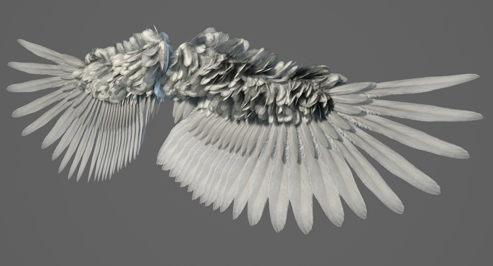 3D Model Realistic Angel Wings Rigged - TurboSquid 1555526