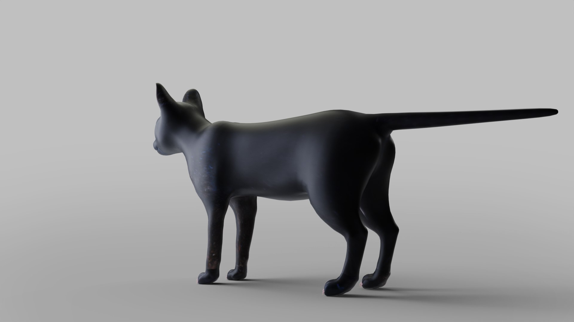 3D model Cat Black Rigged in Blender - TurboSquid 1984110