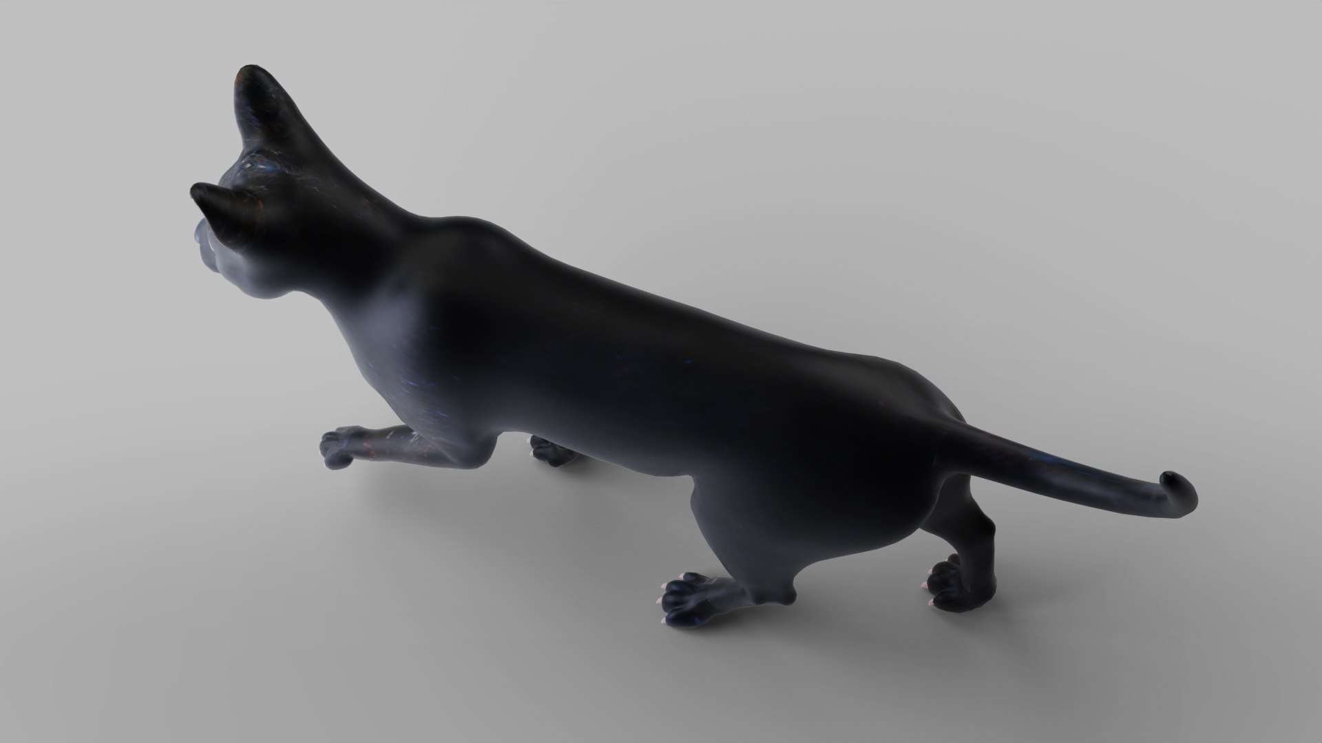 3D model Cat Black Rigged in Blender - TurboSquid 1984110