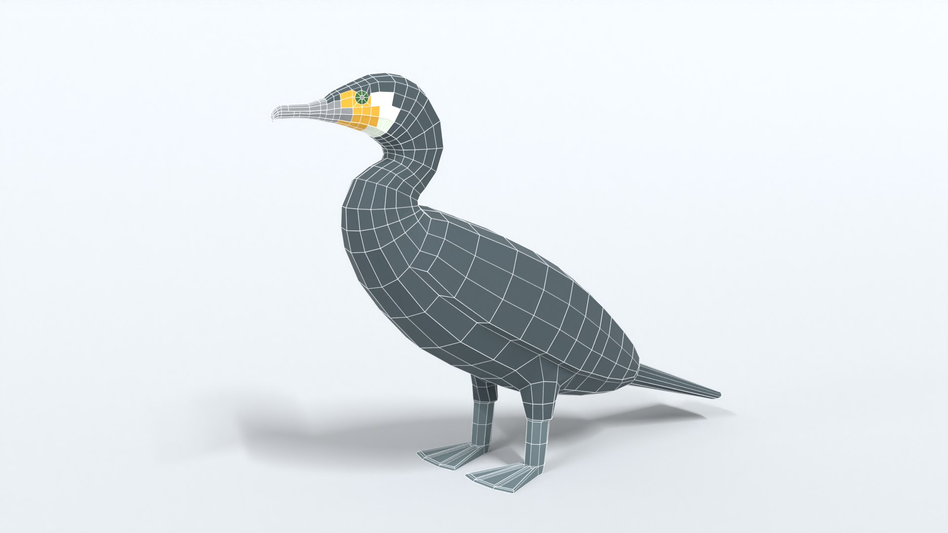 Great Cormorant Cartoon 3D Model - TurboSquid 1679025