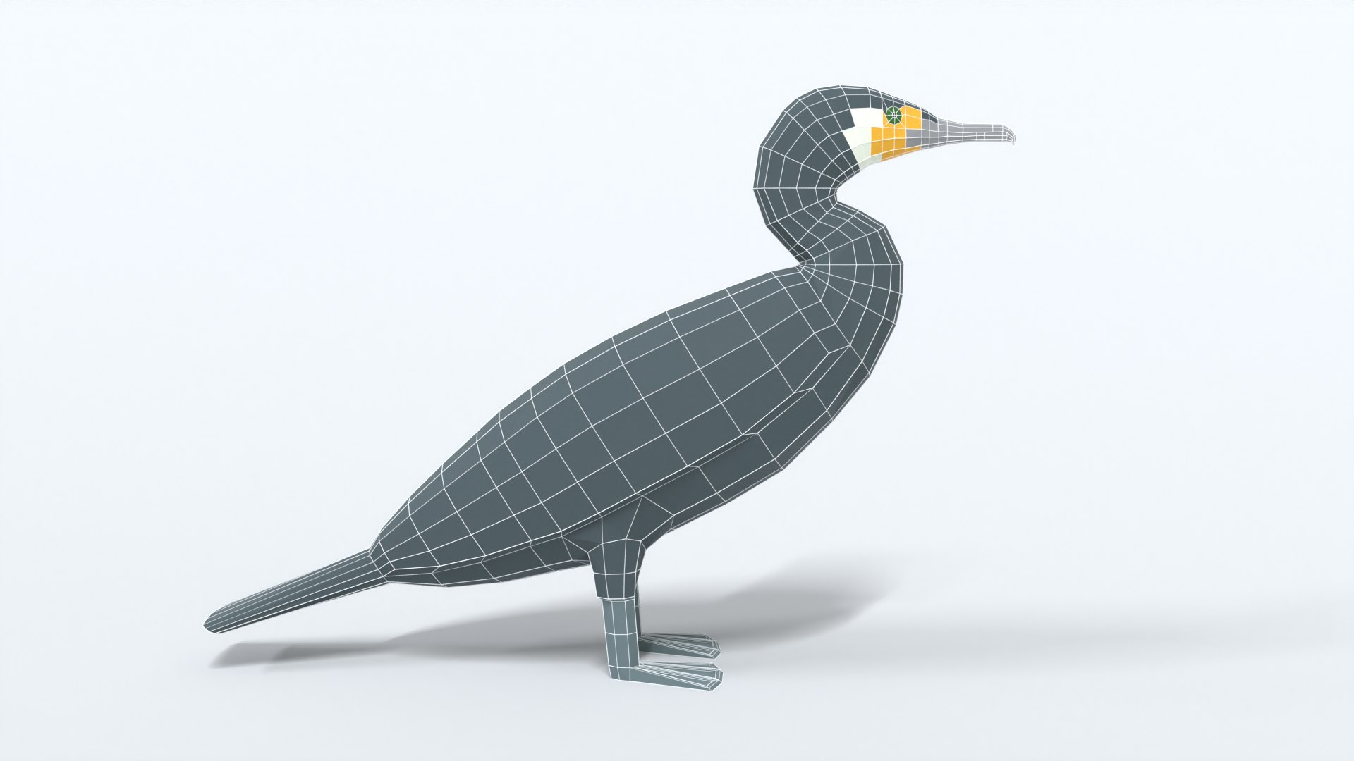 Great Cormorant Cartoon 3D Model - TurboSquid 1679025