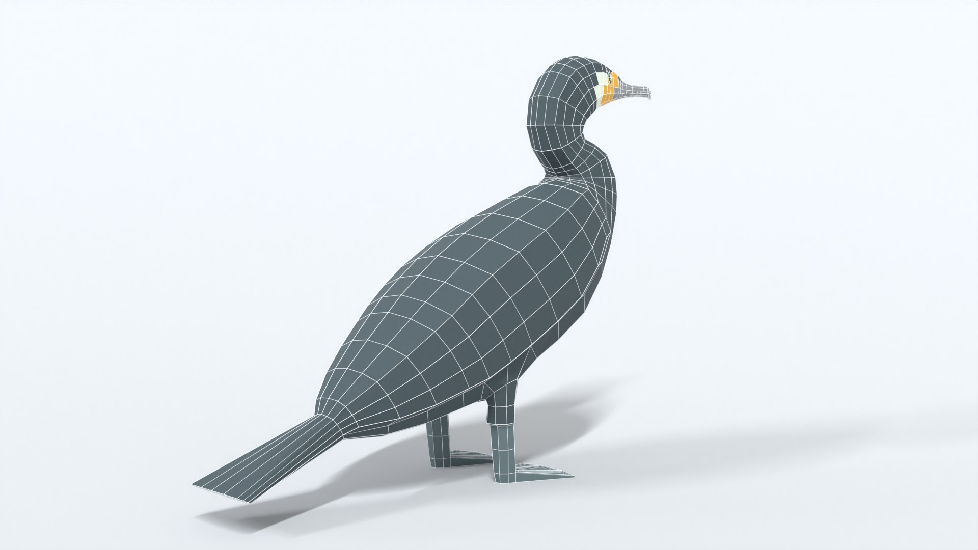 Great Cormorant Cartoon 3D Model - TurboSquid 1679025