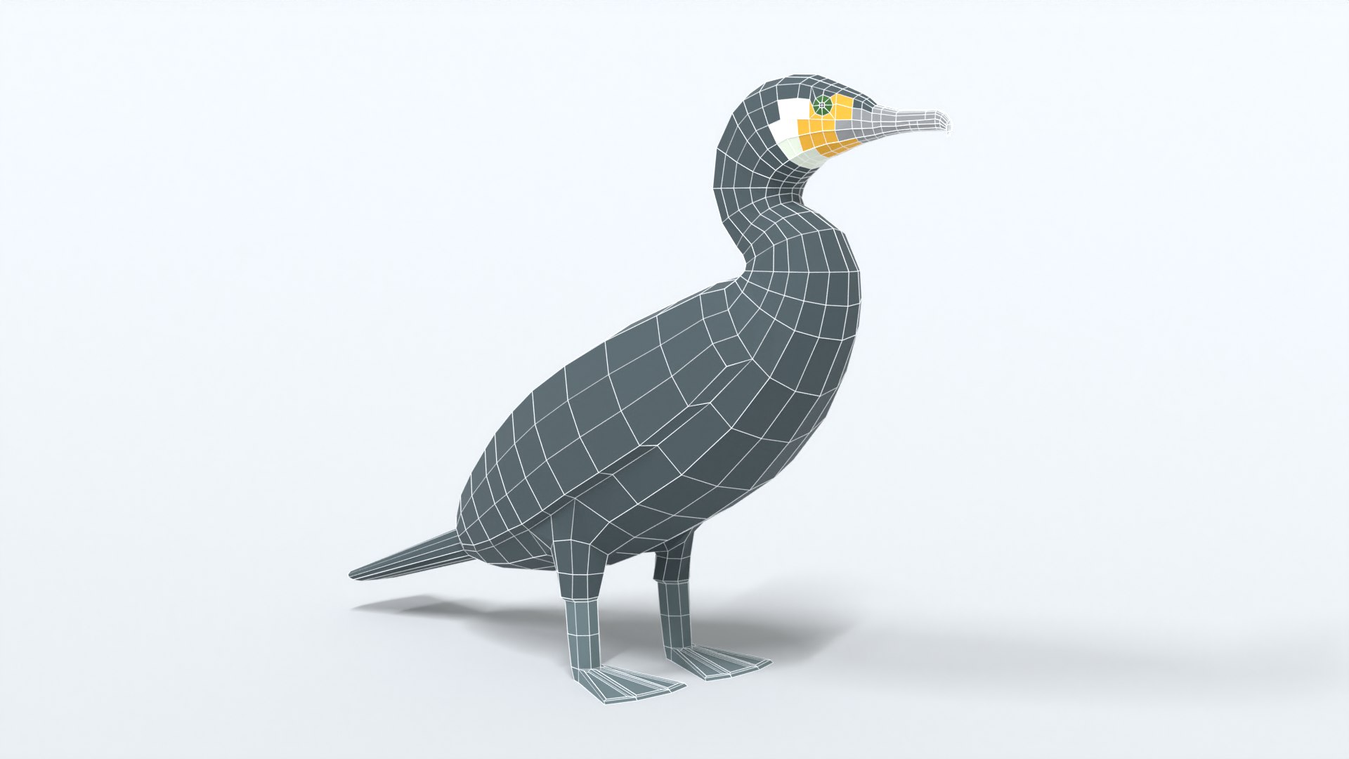 Great Cormorant Cartoon 3D Model - TurboSquid 1679025