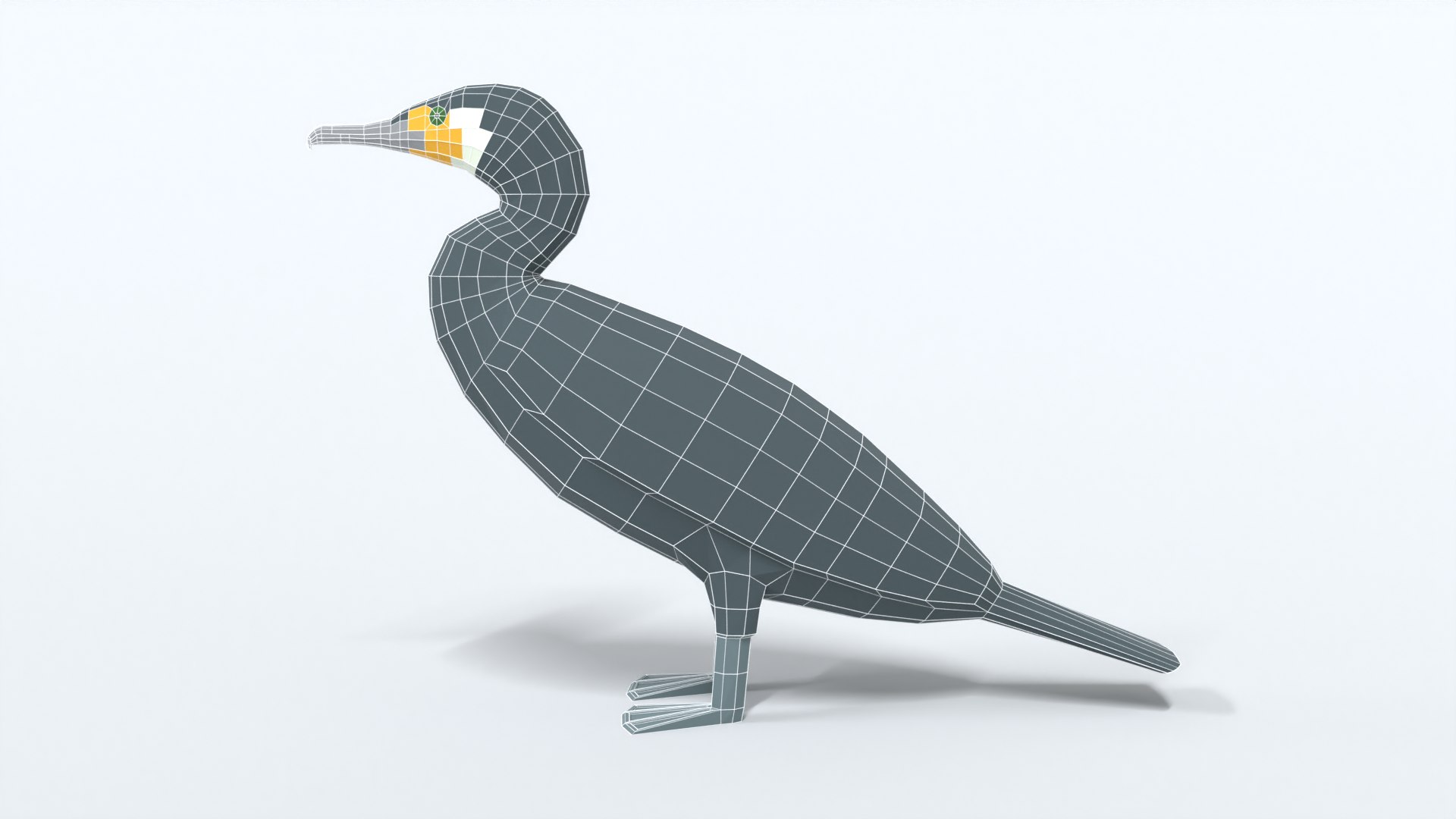 Great Cormorant Cartoon 3D Model - TurboSquid 1679025