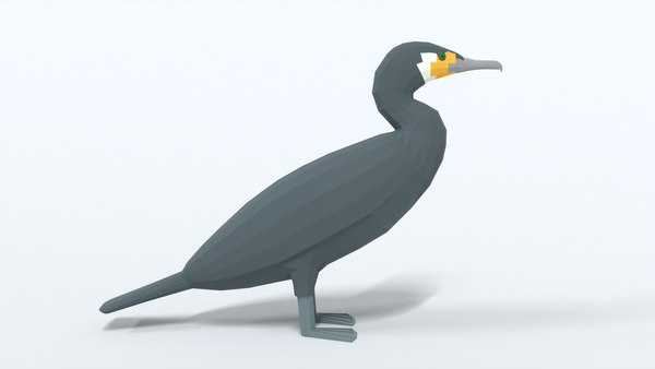 modèle 3D de Grand Cormoran Cartoon Low Poly - TurboSquid 1679025