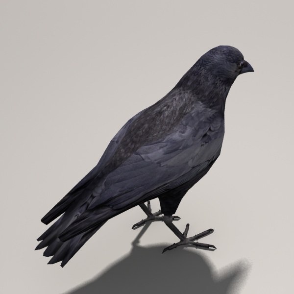 crow max
