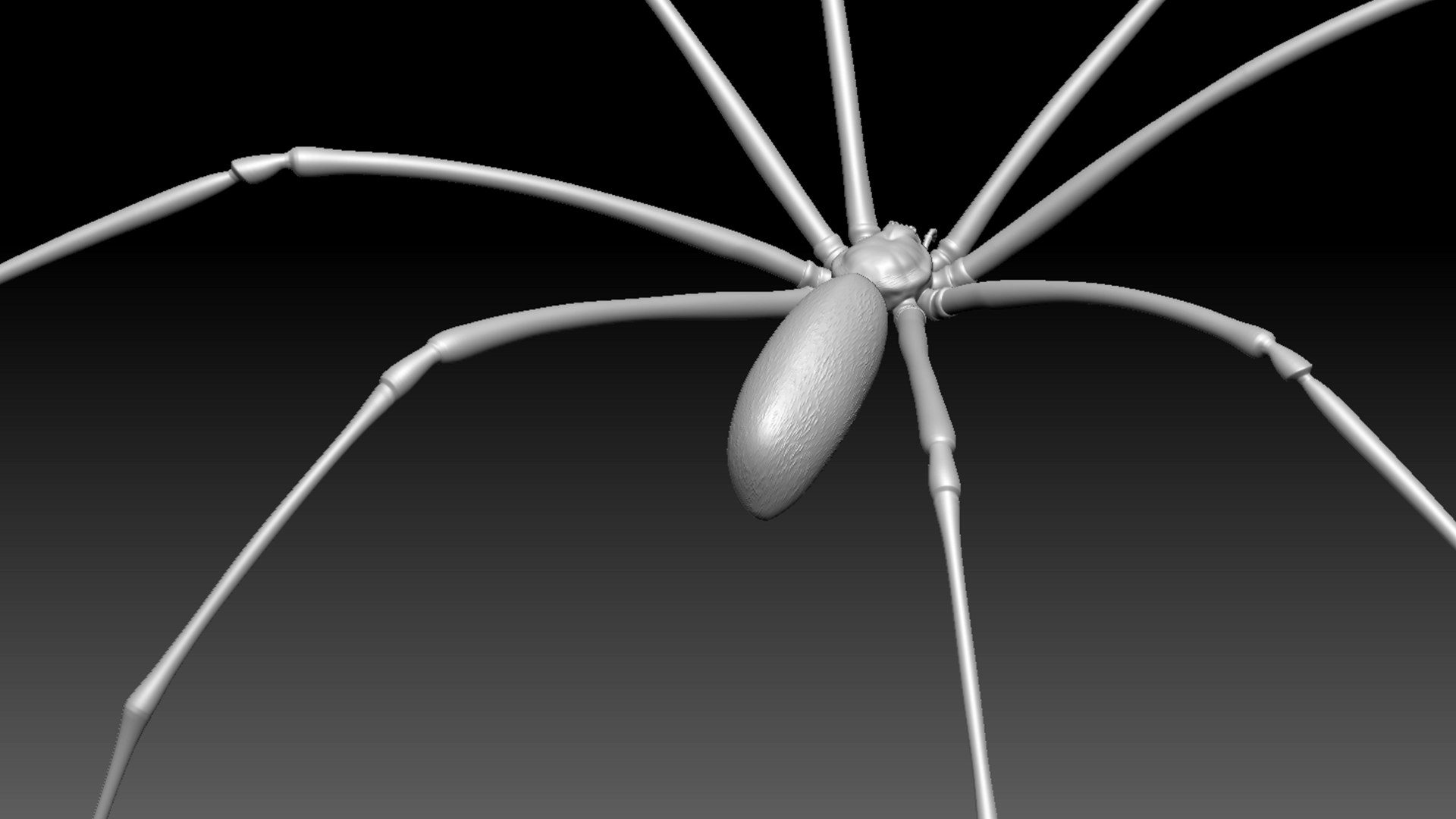 3D Daddy Long Legs - TurboSquid 2151454