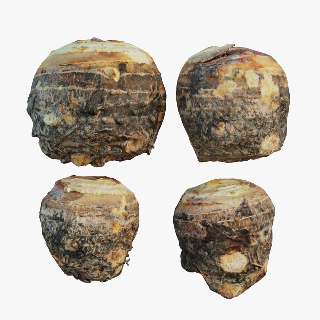 3D Taro 04 - TurboSquid 1941984