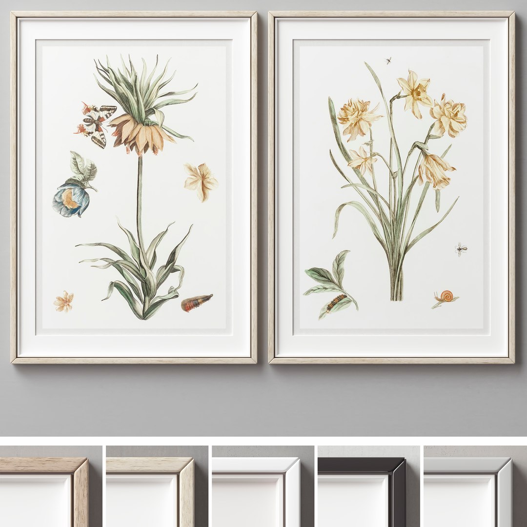 Picture Frames Set 398 3d Model Turbosquid 2012364