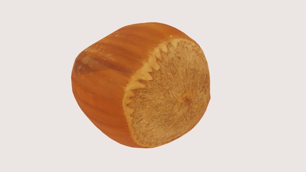 3D Hazelnut - TurboSquid 1783014