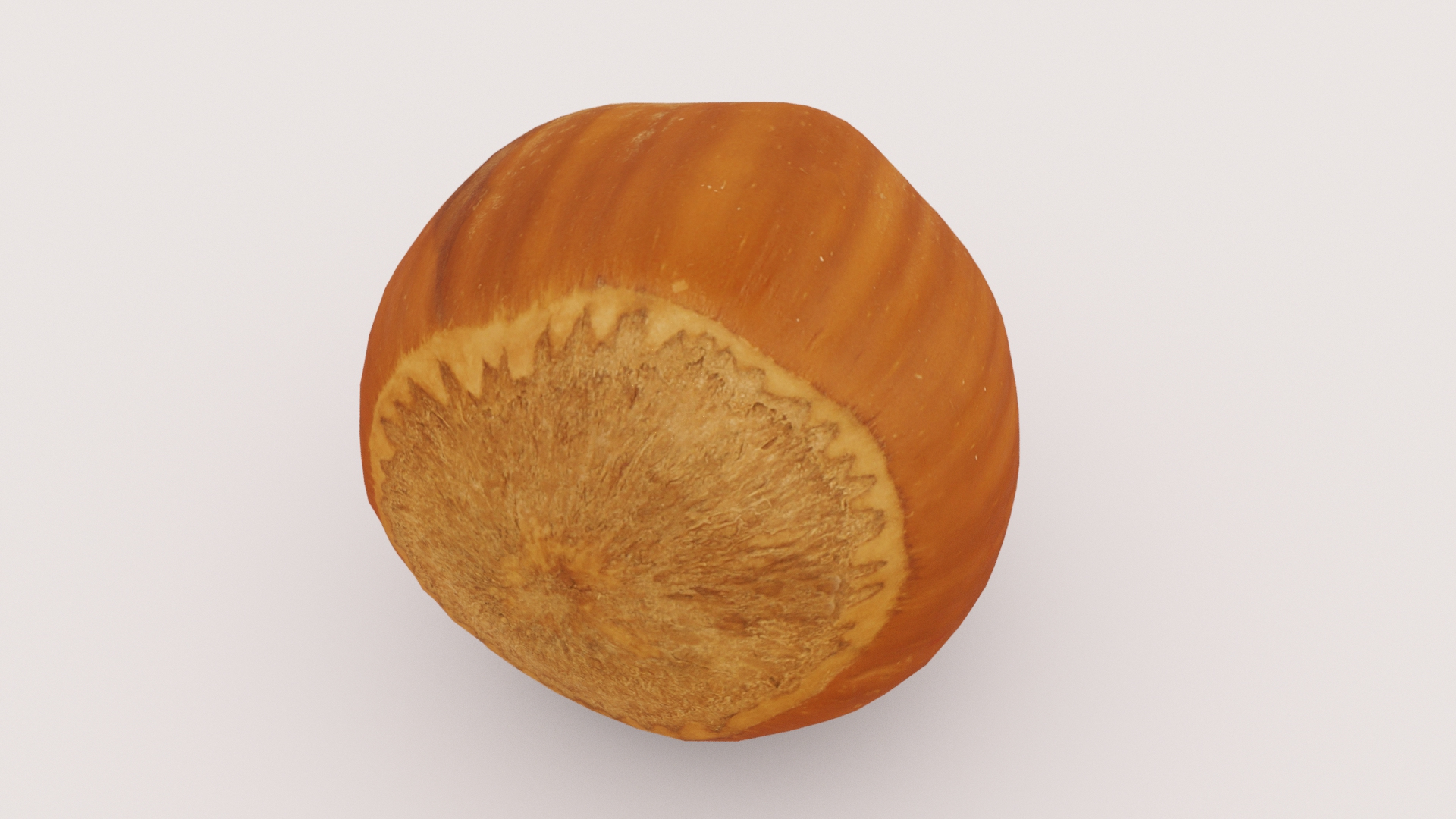 3D Hazelnut - TurboSquid 1783014