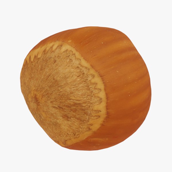 3D Hazelnut - TurboSquid 1783014