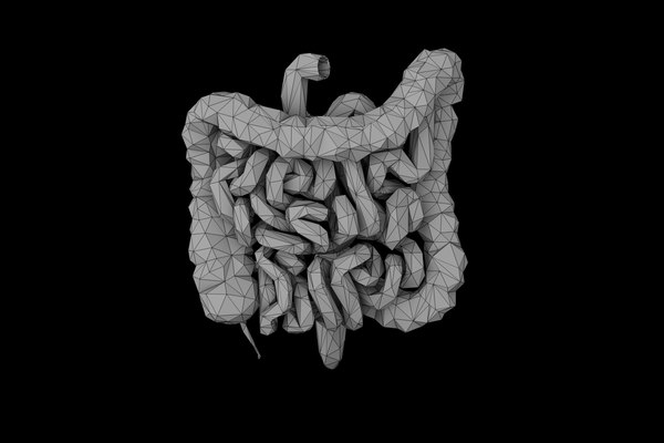modelo 3d Stylized Low Poly Intestine - TurboSquid 2024179