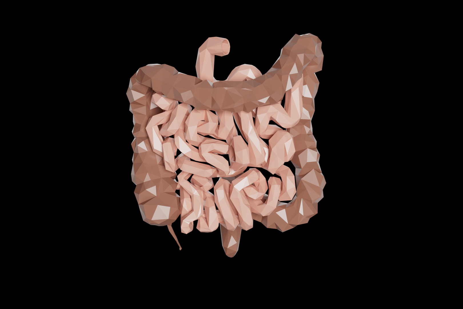 Stylized Low Poly Intestine 3D Model - TurboSquid 2024179