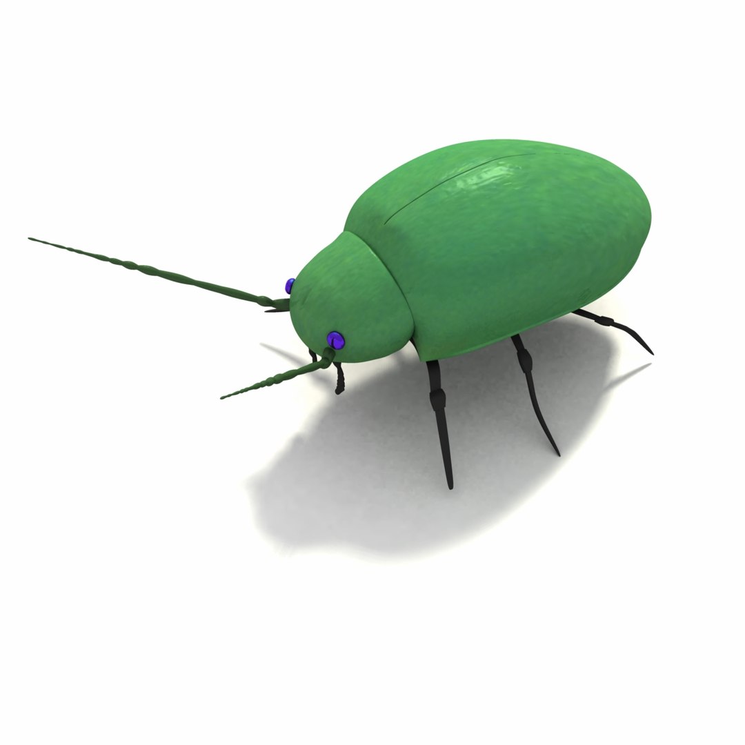 3d Model Beetle