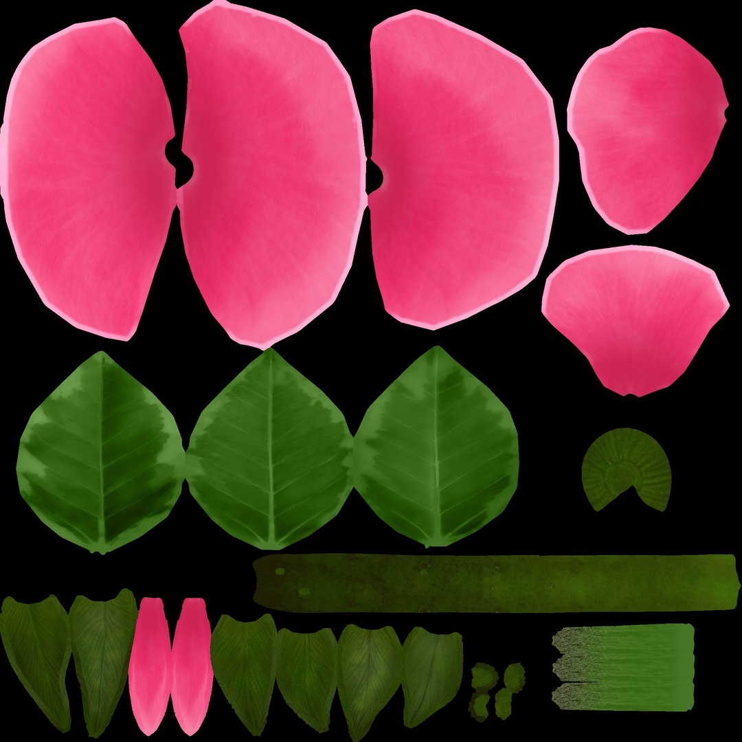 3D Model Rose - TurboSquid 2071778