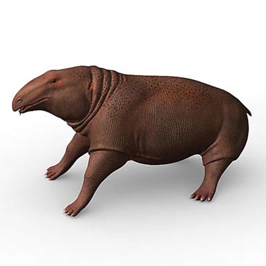 Desmostylia Animal 3d Max
