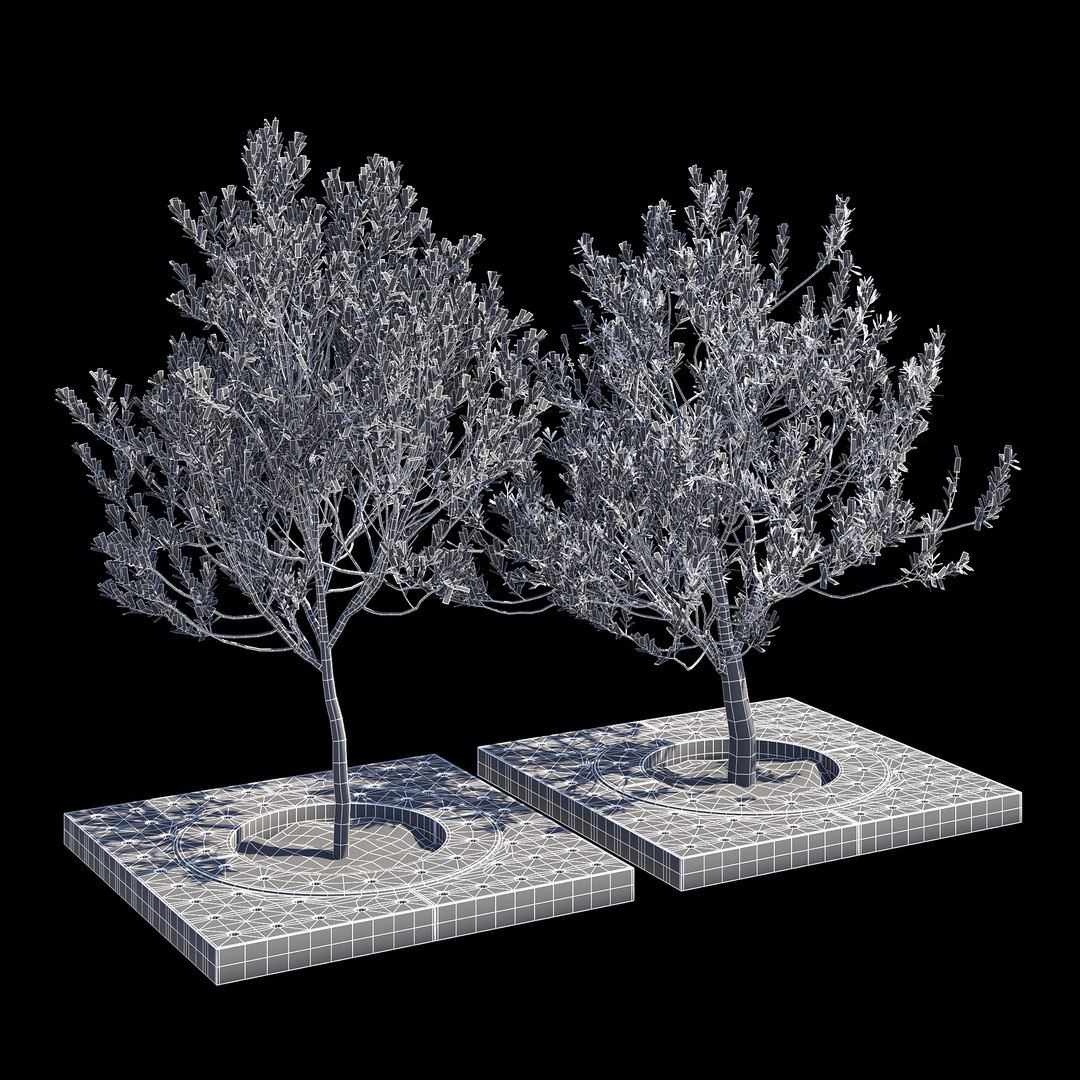 3D Surrounds - TurboSquid 1954253
