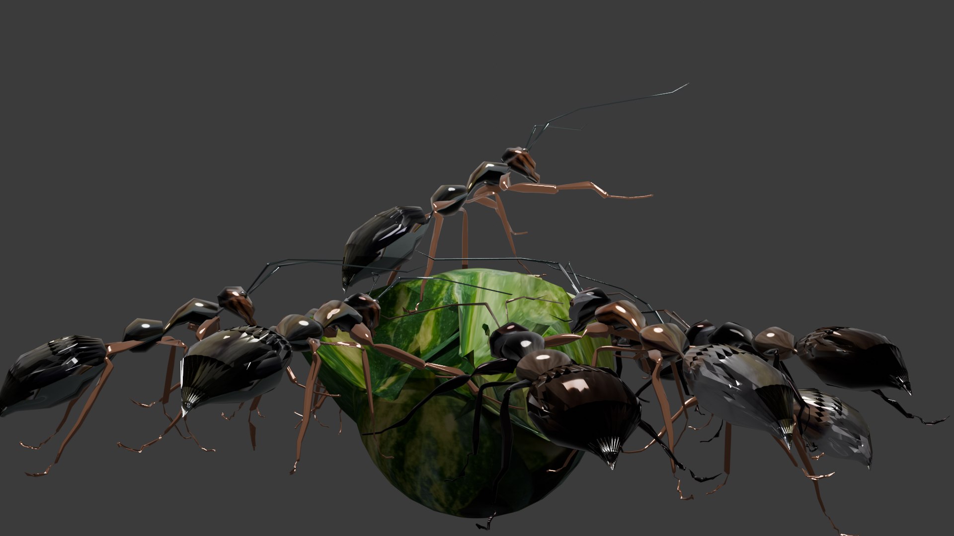 3D Model Ants - TurboSquid 2253662