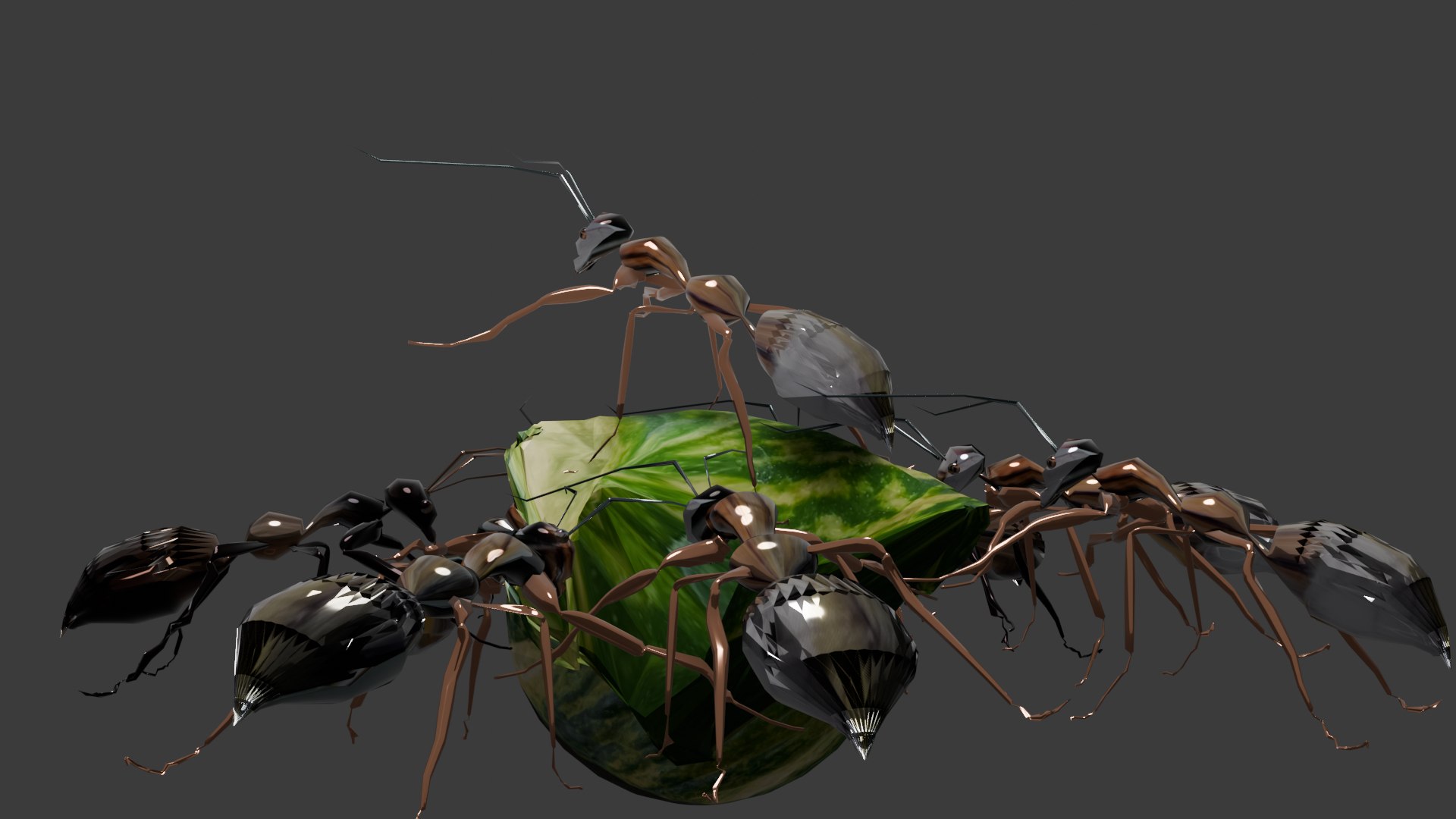 3D Model Ants - TurboSquid 2253662