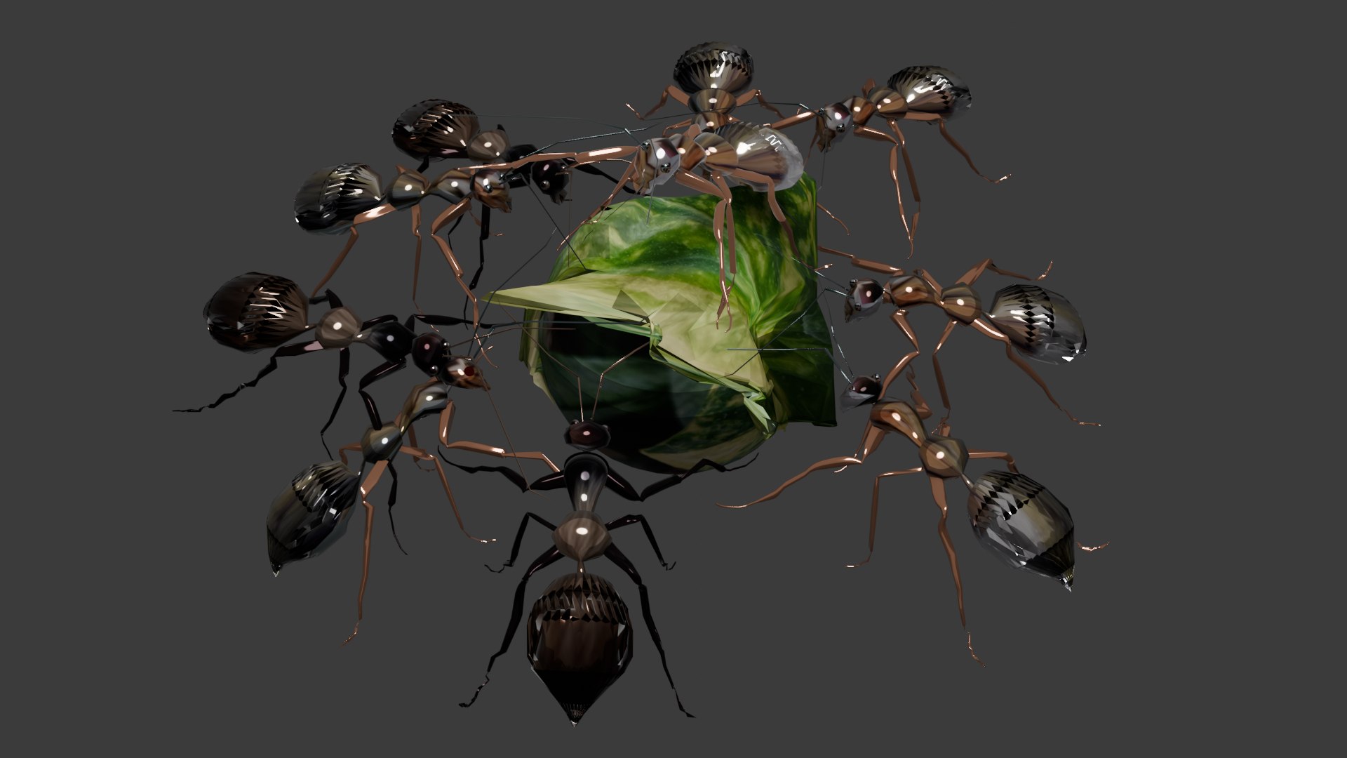 3D Model Ants - TurboSquid 2253662