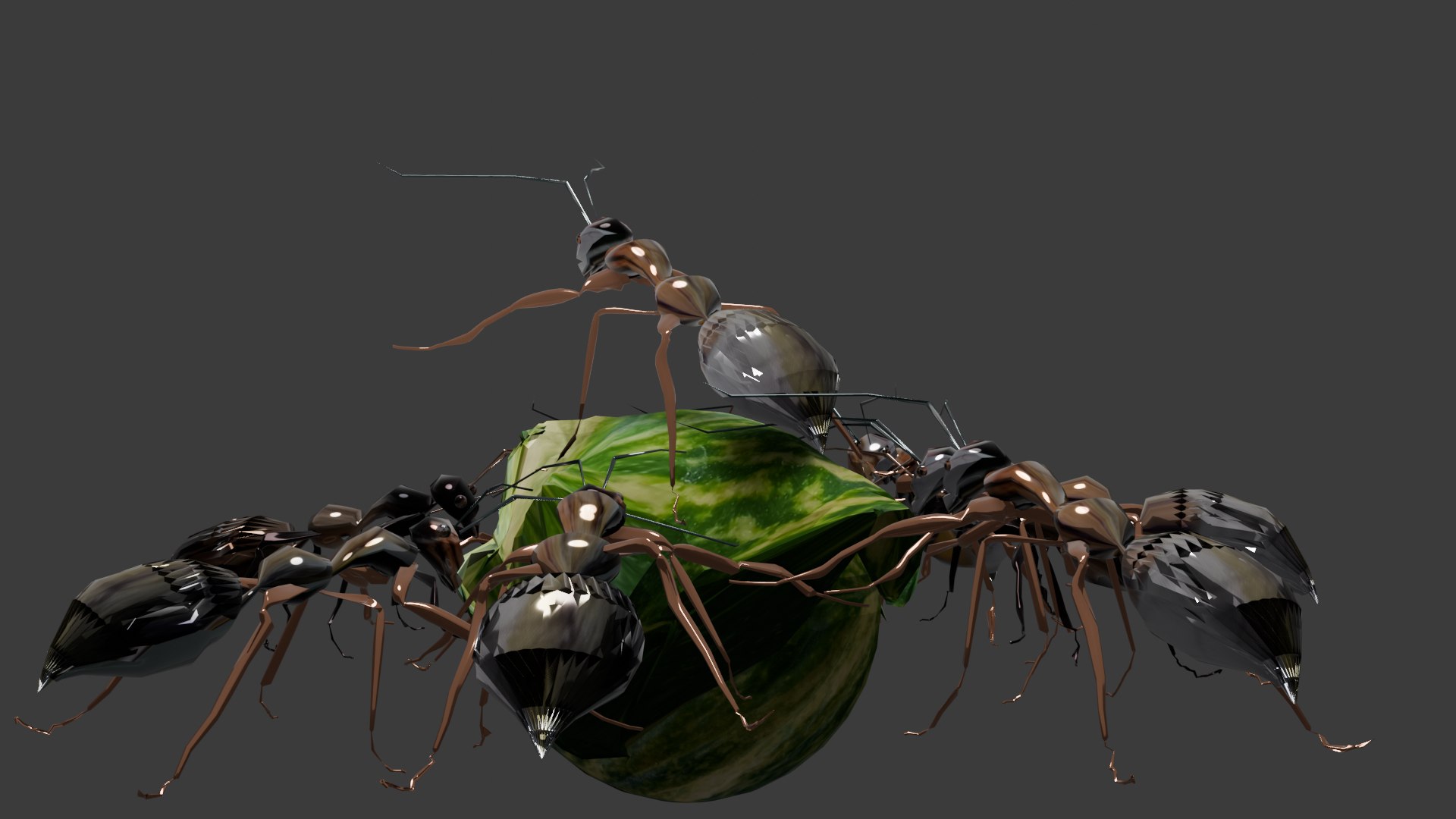 3D Model Ants - TurboSquid 2253662