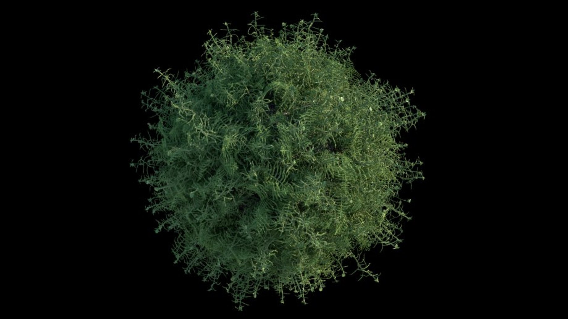 3d Model Moss Normal Maps