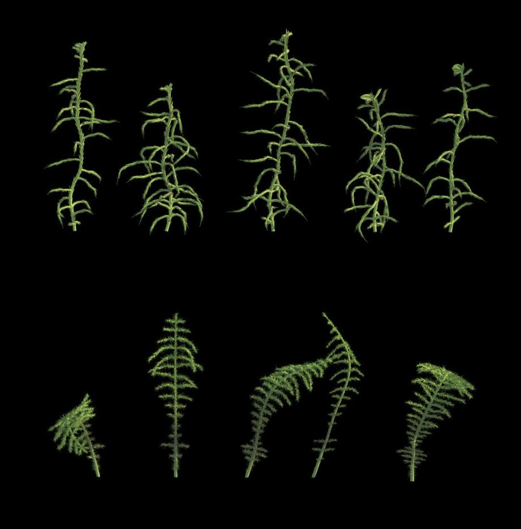 3d Model Moss Normal Maps