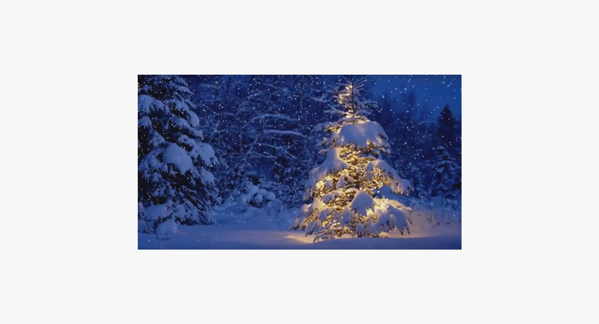 Dynamic Snow Animation Setup 3d Model