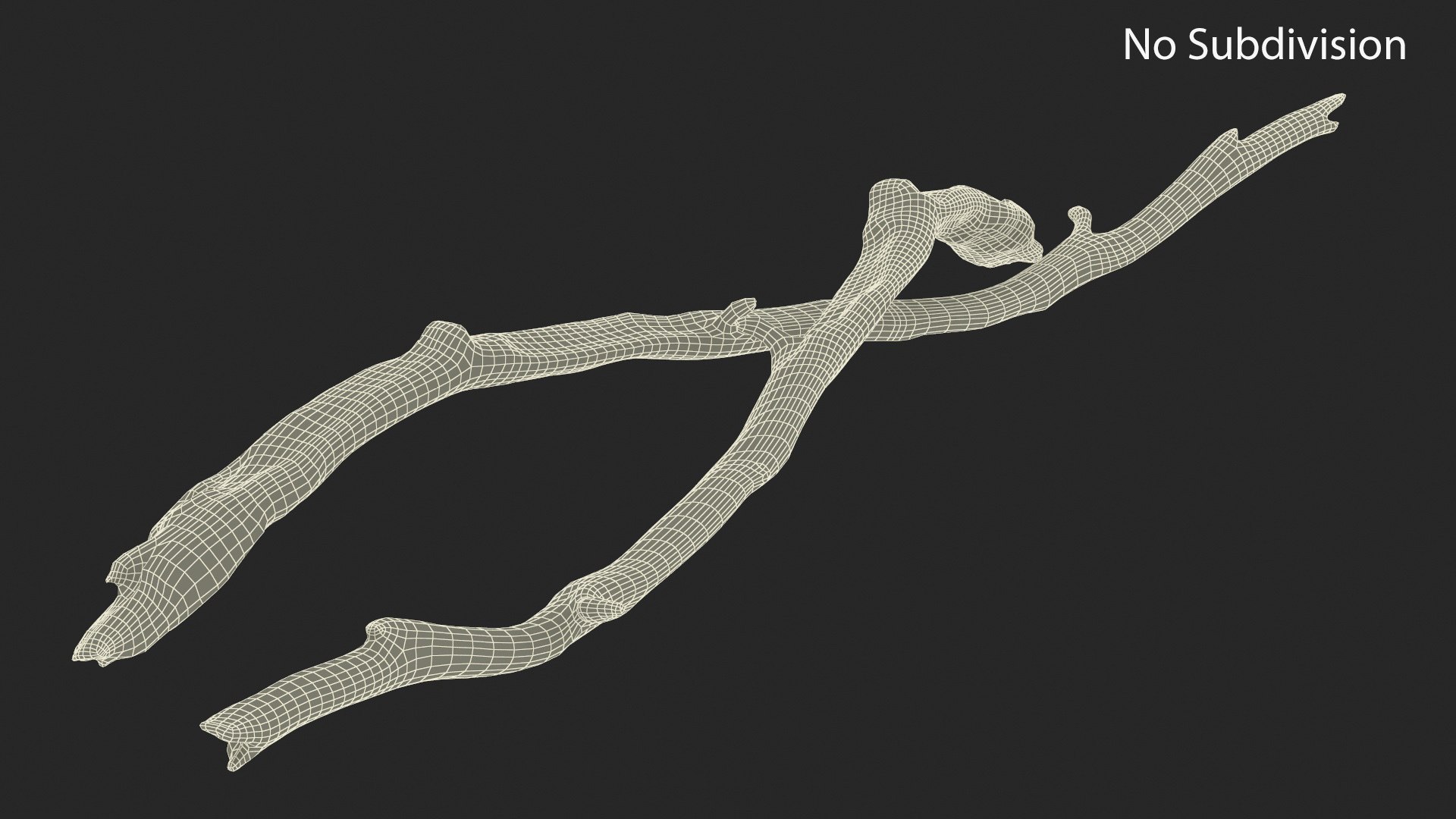 3D Realistic Tree Branch - TurboSquid 2274187